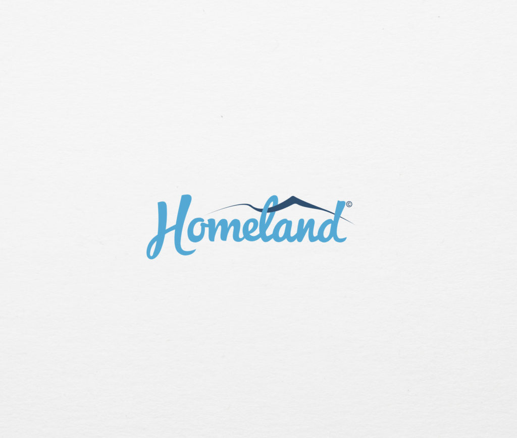 Portfolio-Branding-Homeland Development Initiative Foundation